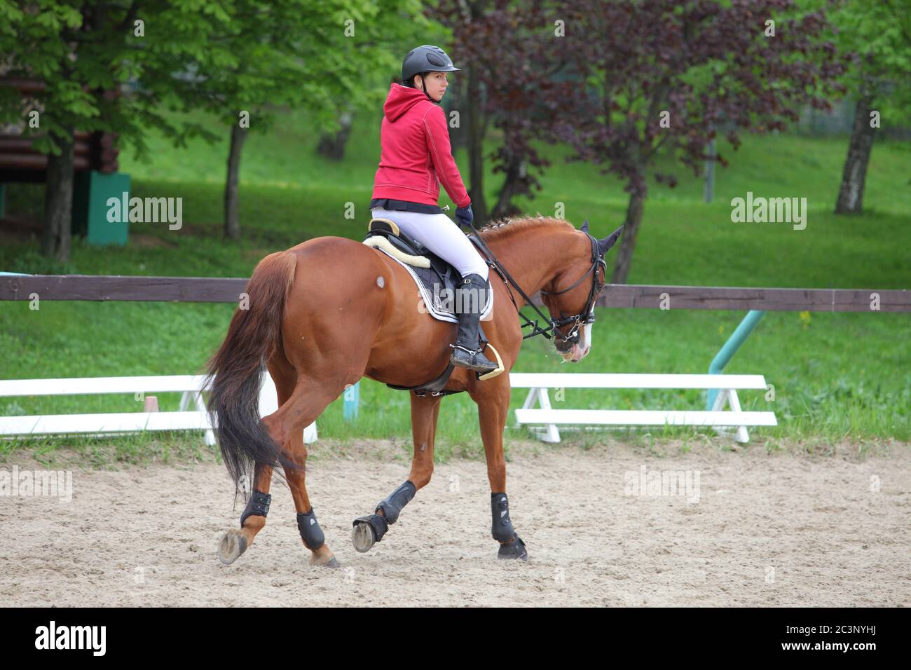 Dressur reiten mädchen -Fotos und -Bildmaterial in hoher Auflösung – Alamy