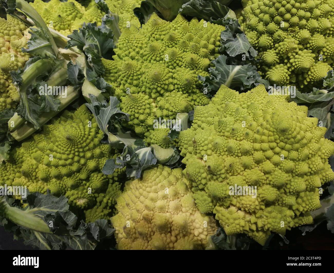Romanesco Blumenkohl Stockfotos und -bilder Kaufen - Alamy