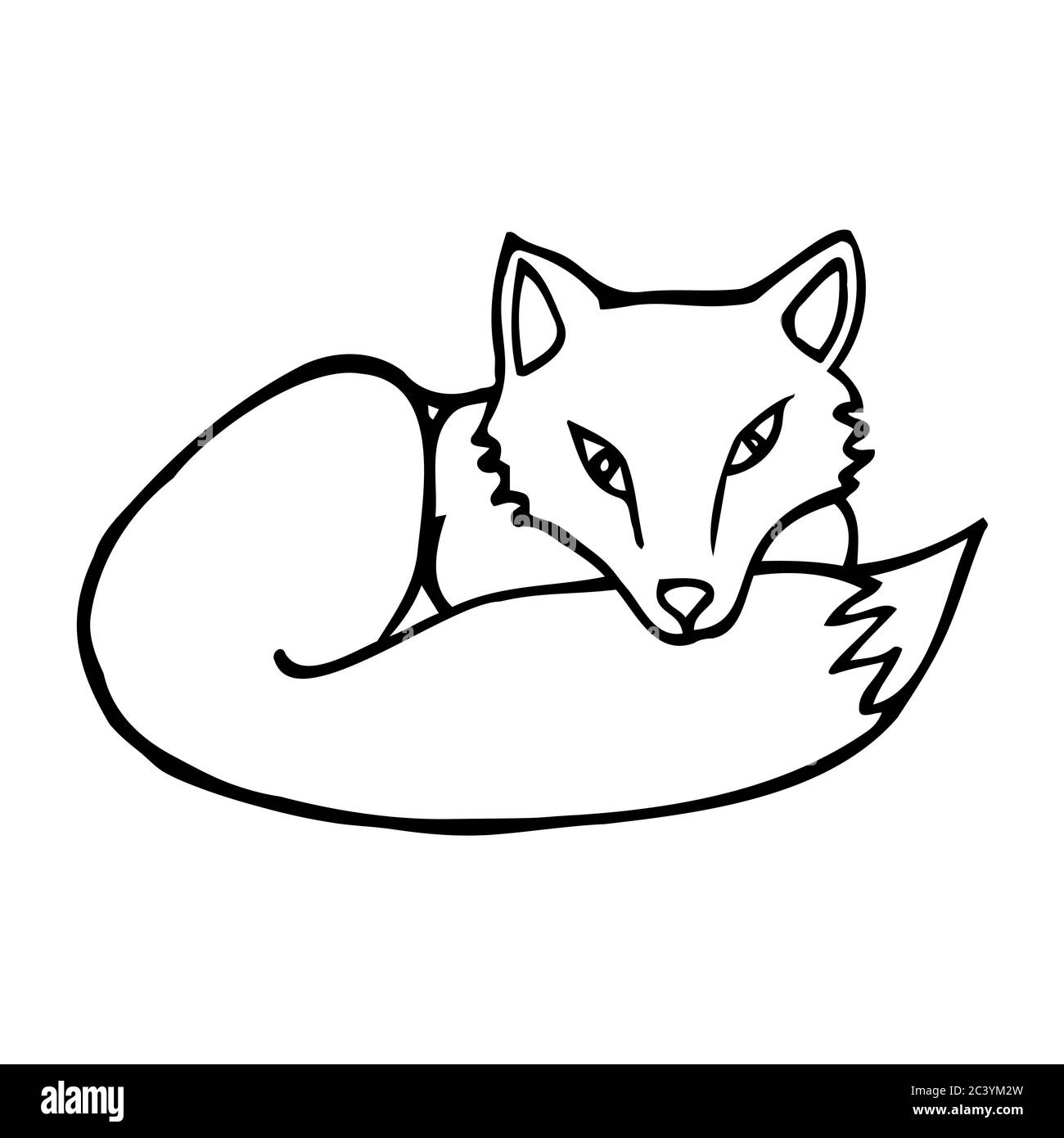 Handgezeichneter Fuchs. Cartoon Fuchs skizzieren Doodle Stil. Vektor ...