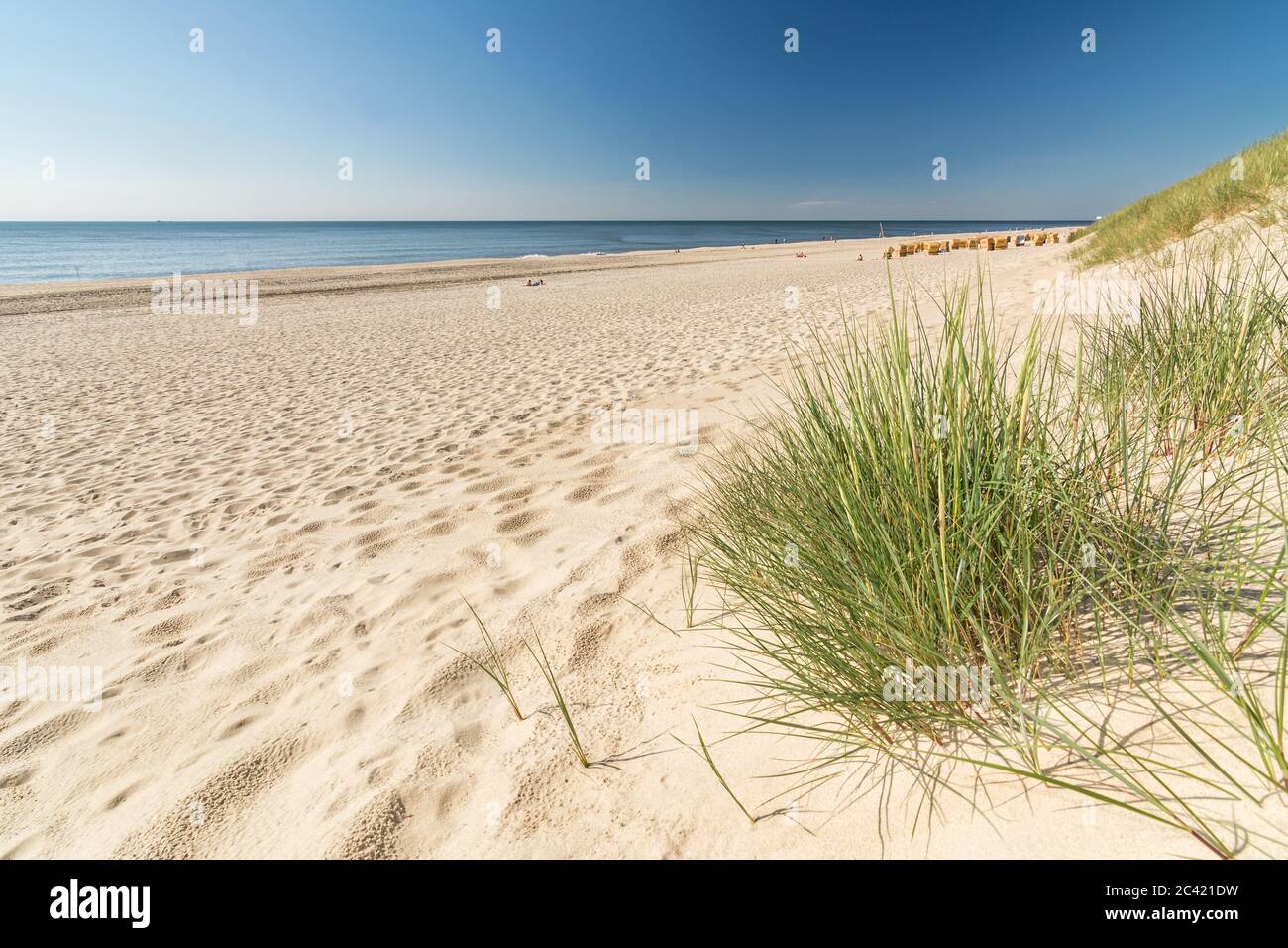 Strandgras und Sand auf der Insel Sylt, Deutschland Stockfotografie - Alamy
