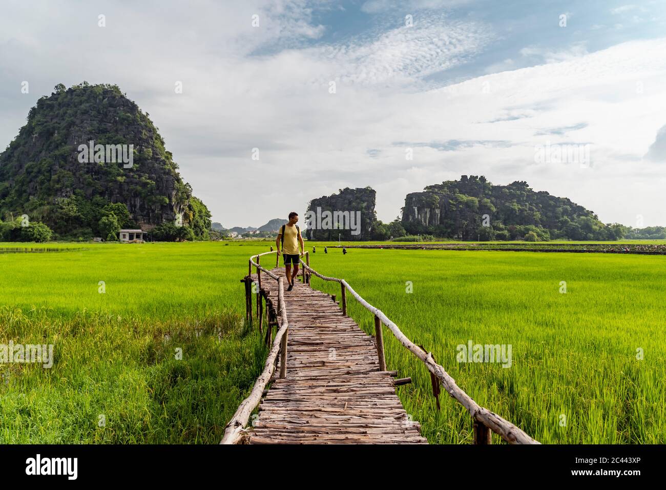 Promenade hong river delta -Fotos und -Bildmaterial in hoher Auflösung ...