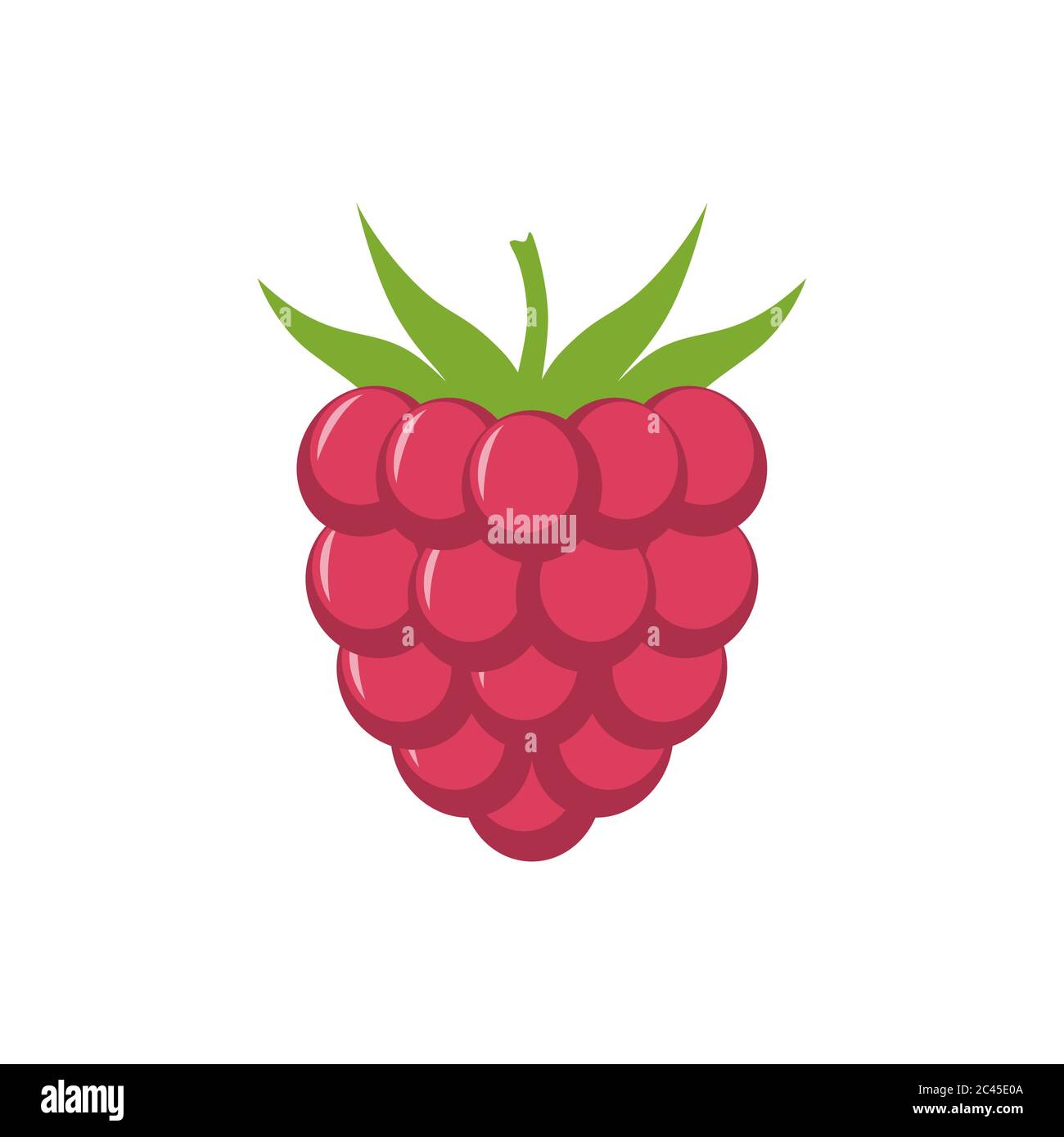 Himbeere mit Blatt-Vektor-Symbol. Clipart mit Himbeer-Symbol. Himbeer ...