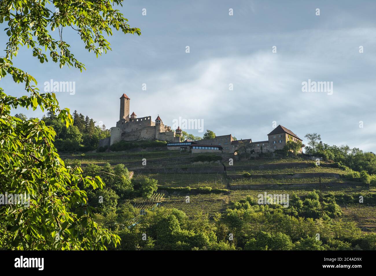 Schloss hornberg -Fotos und -Bildmaterial in hoher Auflösung – Alamy