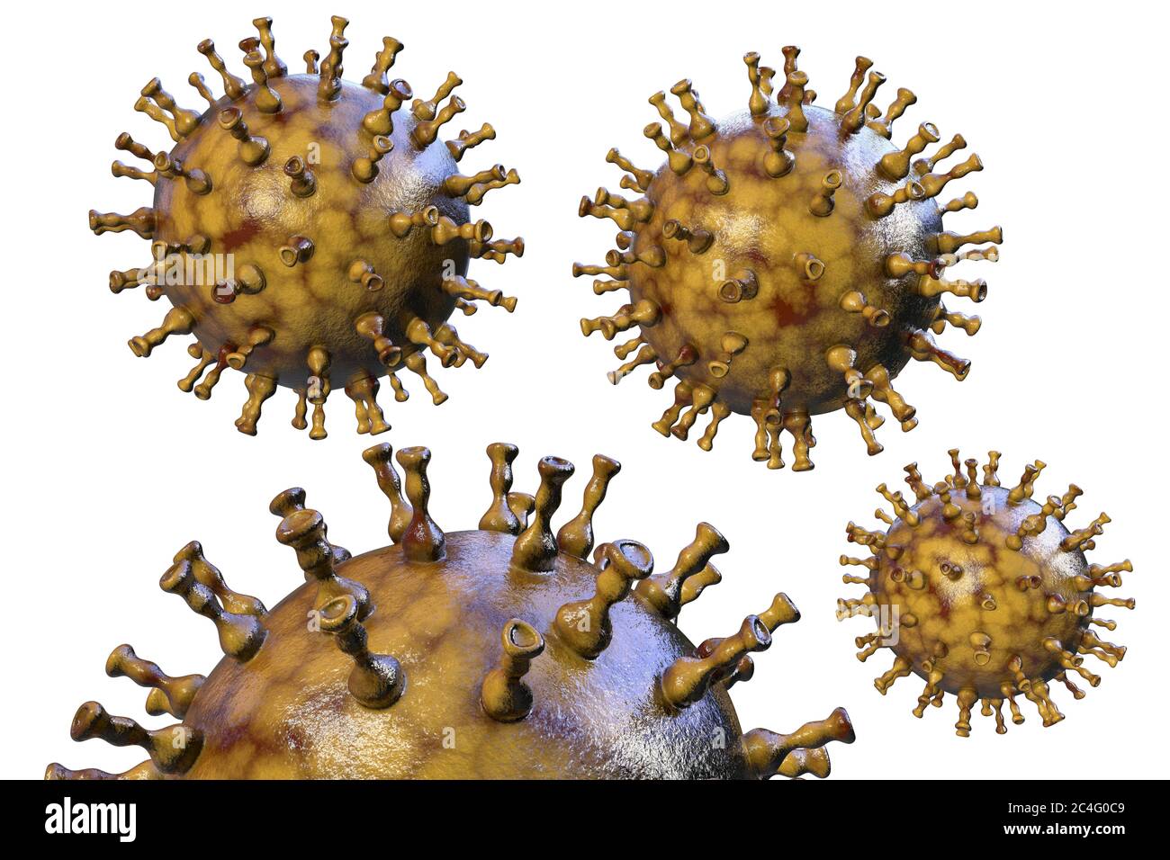 Varizella zoster virionen -Fotos und -Bildmaterial in hoher Auflösung ...