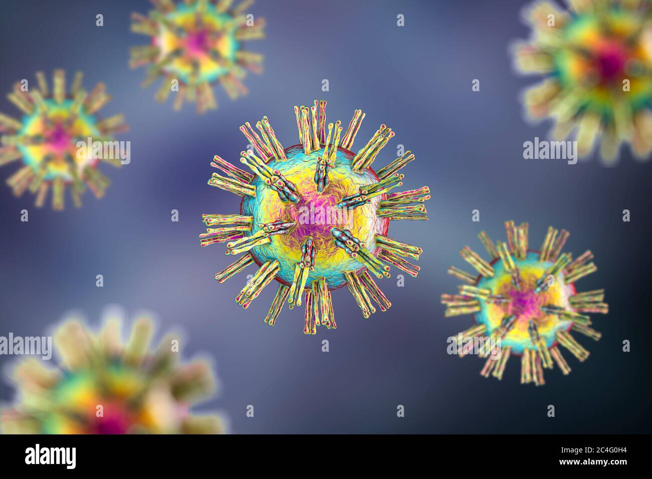 Herpes simplex typ 1 virus -Fotos und -Bildmaterial in hoher Auflösung – Alamy