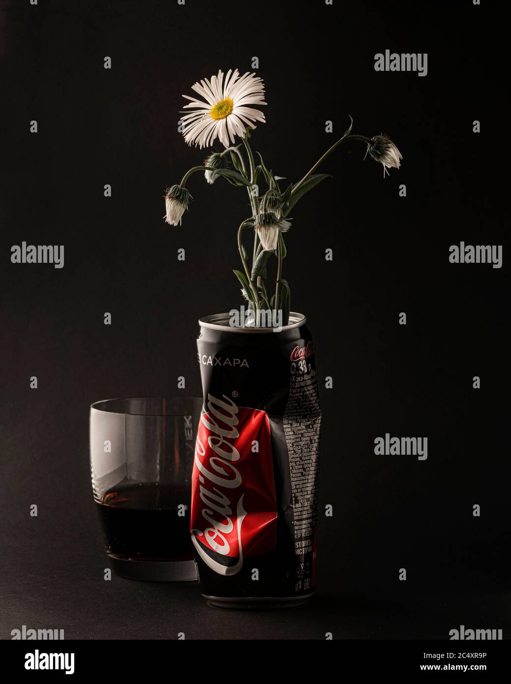 Die Kamillenblume wird in eine Coca-Cola-Flasche eingesetzt und als ...