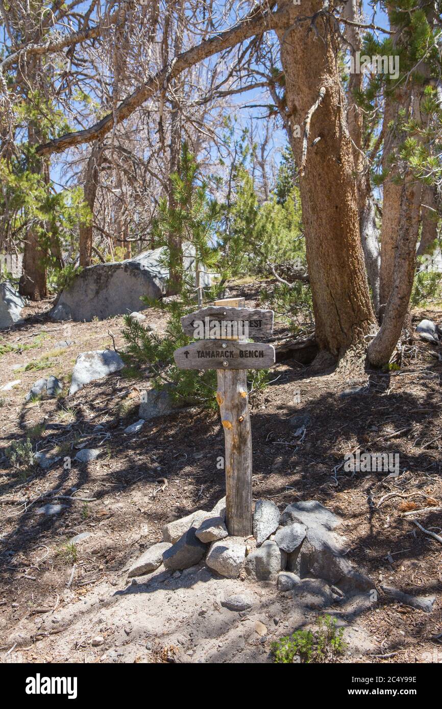 Wheeler wappen -Fotos und -Bildmaterial in hoher Auflösung – Alamy