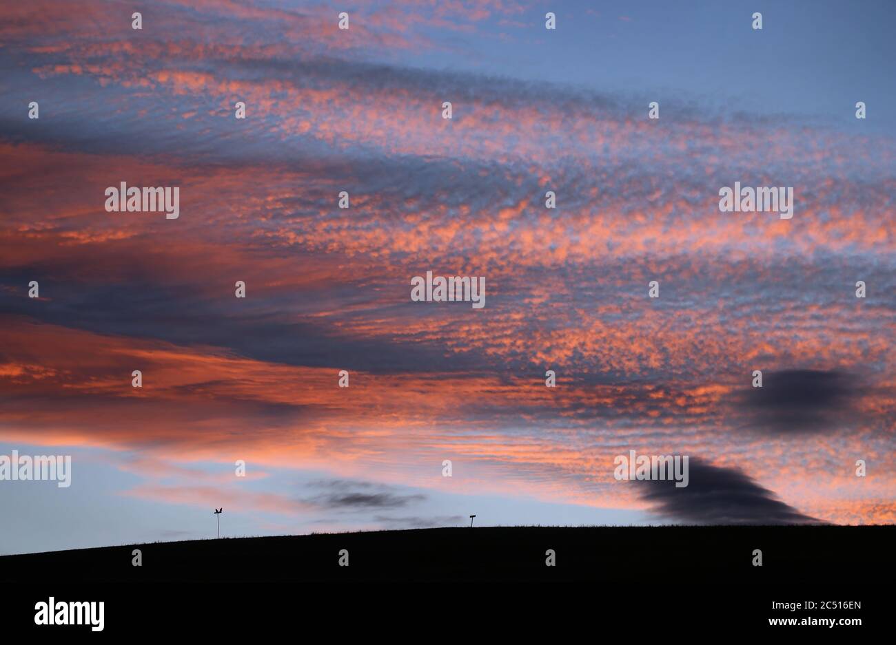Zwei raben sitzen -Fotos und -Bildmaterial in hoher Auflösung – Alamy