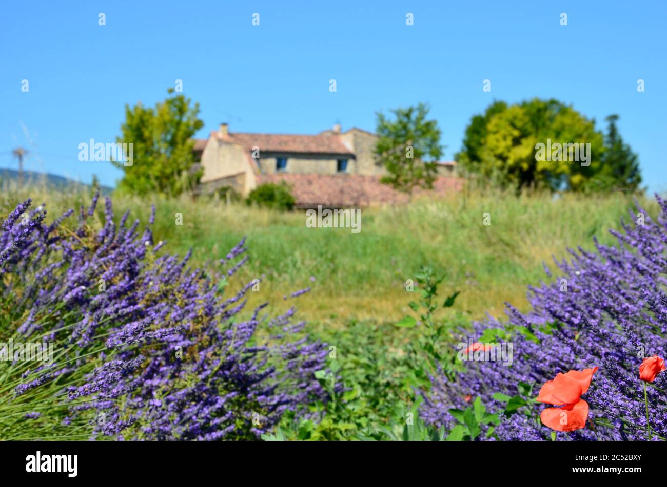 Bauernhaus im hintergrund -Fotos und -Bildmaterial in hoher Auflösung – Alamy