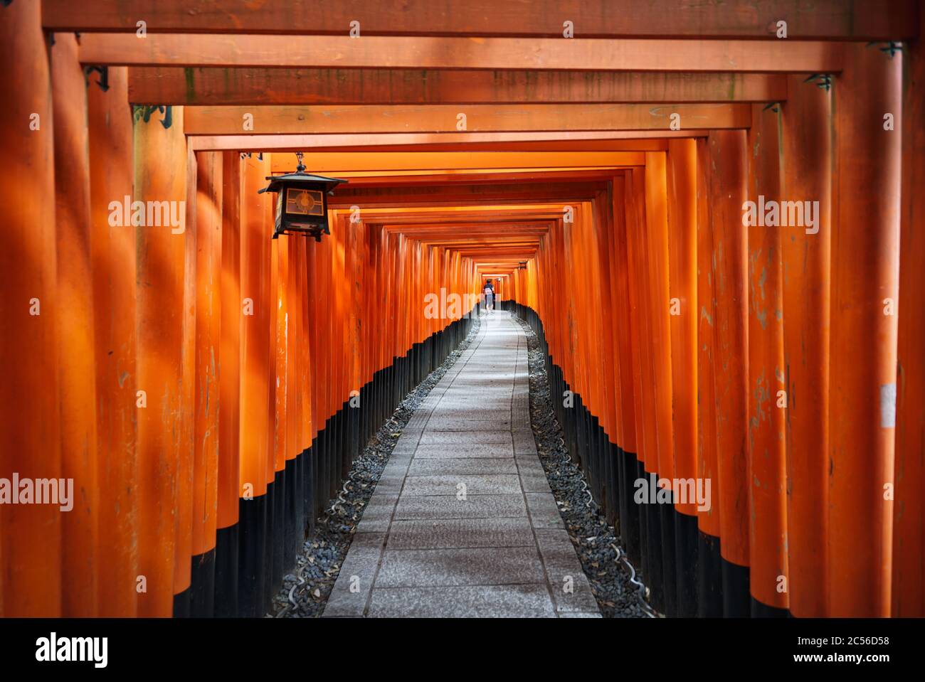 Japanischer torbogen -Fotos und -Bildmaterial in hoher Auflösung – Alamy