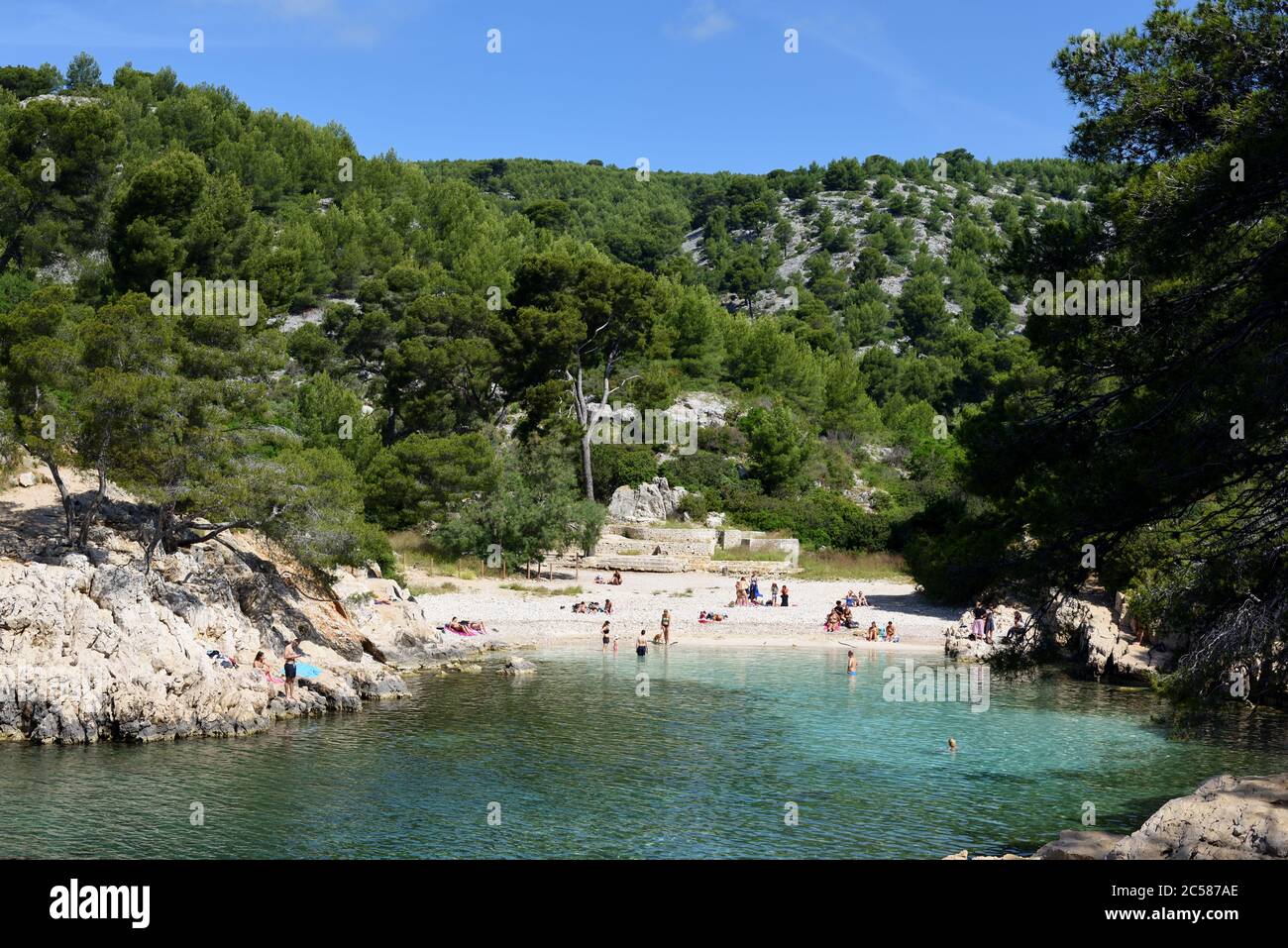 Sandy Cove mit Strand & Pinien im Calanque Port-Pin Calanques ...