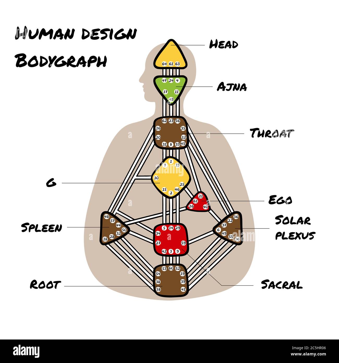 Solar plexus -Fotos und -Bildmaterial in hoher Auflösung – Alamy