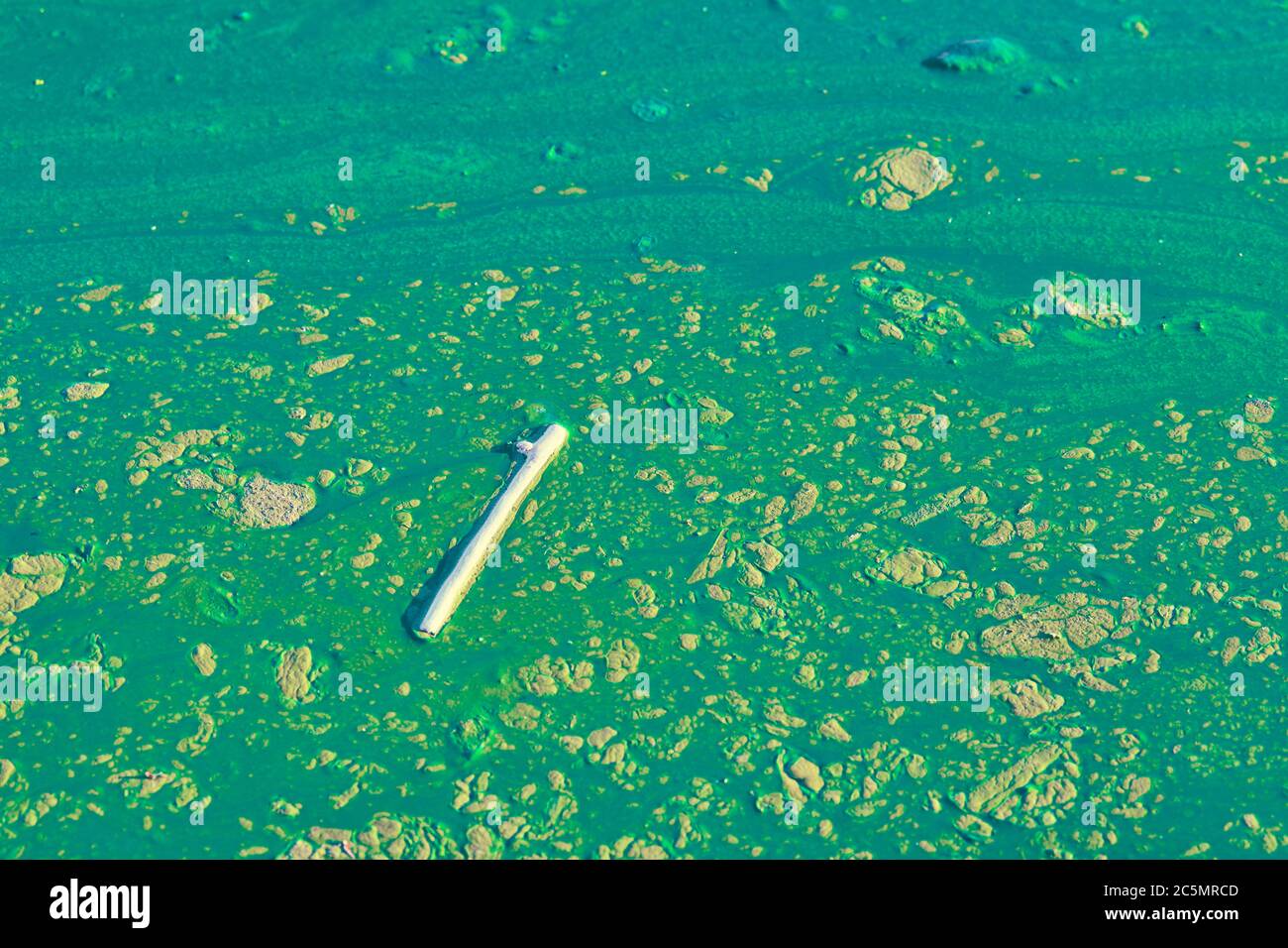 Umweltverschmutzung durch Wasser. Verschmutzter Fluss - schmutziges ...