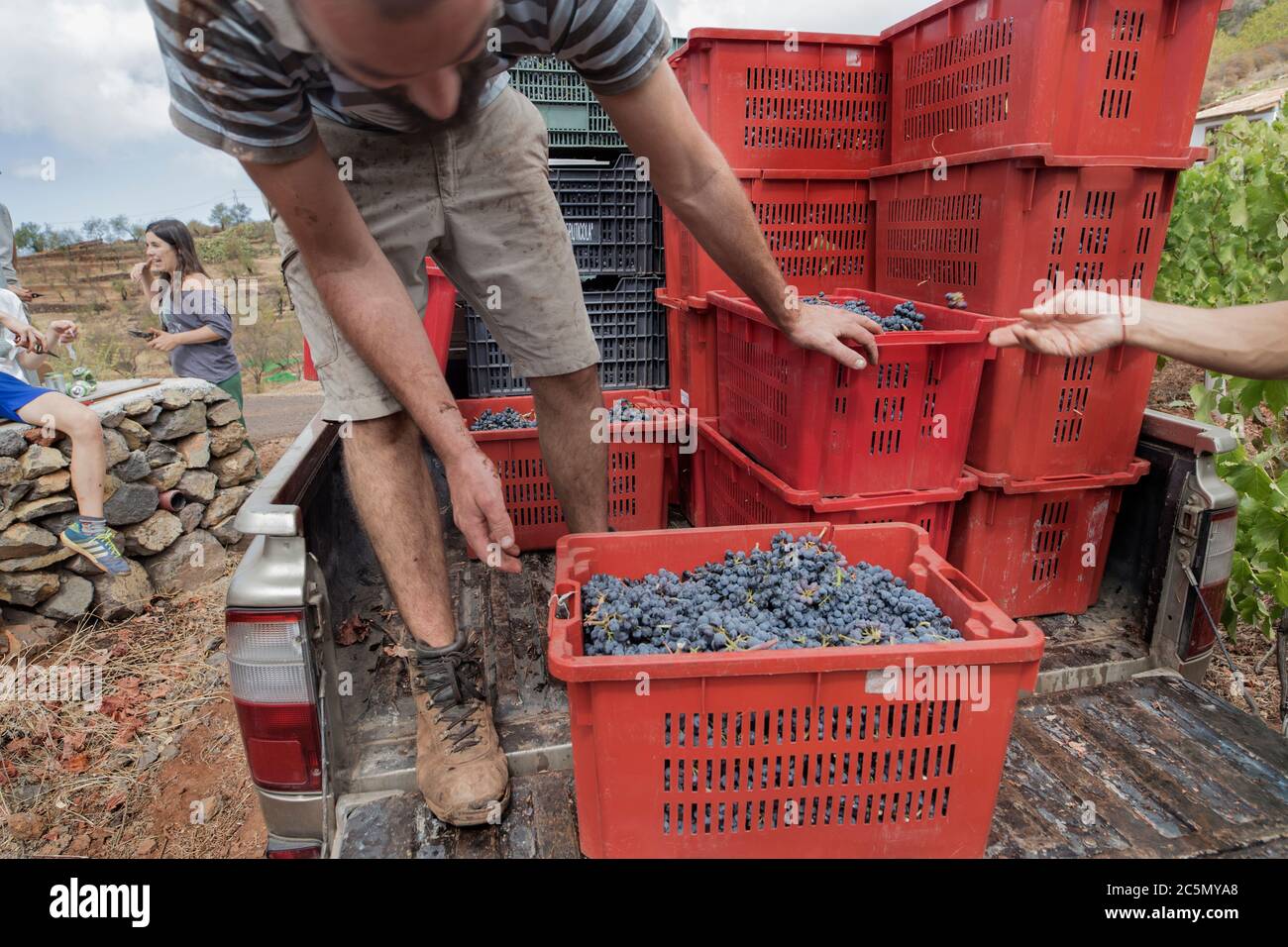 Traditionelles traubenpressen -Fotos und -Bildmaterial in hoher ...