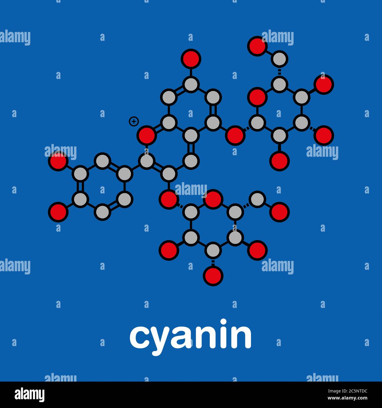 Cyanin oder Cyanidin-3,5-O-Diglucosid-Molekül. In Granatapfelsaft ...