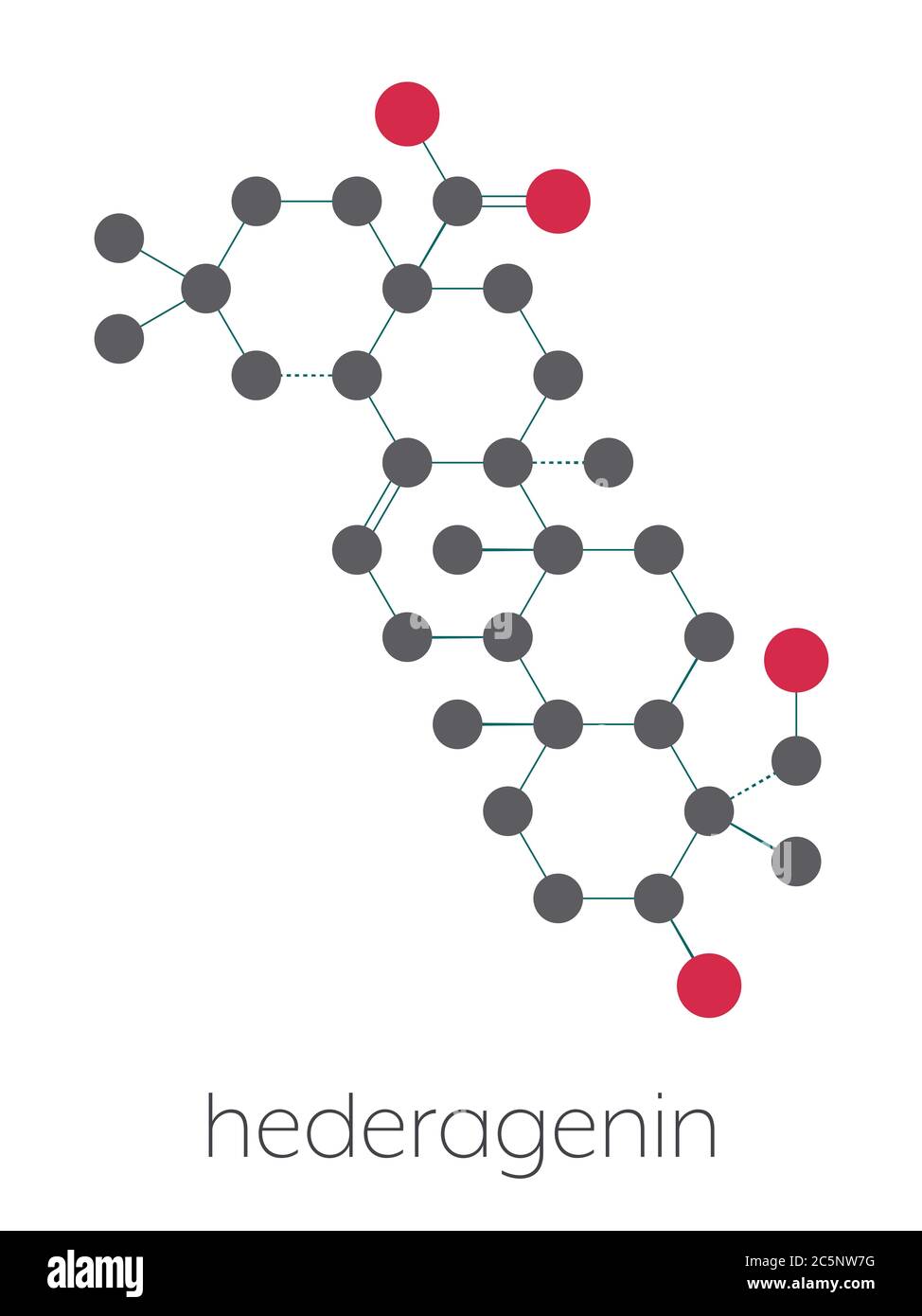 Hederagenin gemein Efeu Molekül. Stilisierte Skelettformel (chemische ...