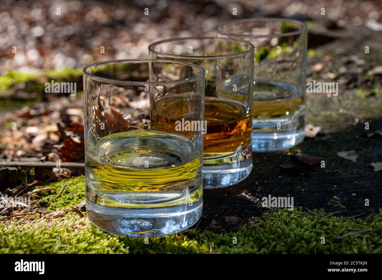 Verkostung von Scotch-Single-Malt-Whisky von der Insel Islay, am ...