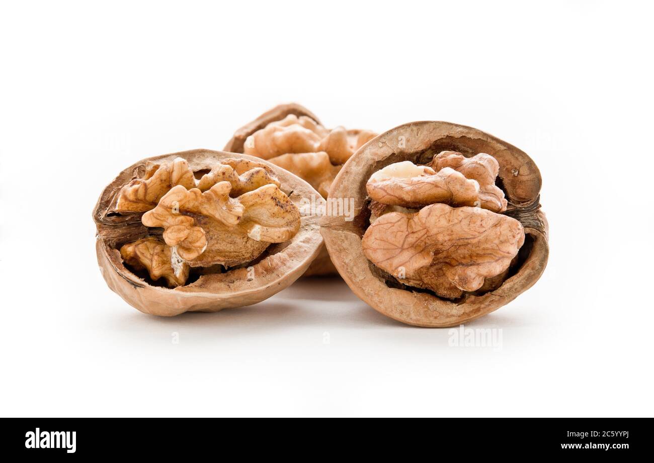 Fondo blanco shell Ausgeschnittene Stockfotos und -bilder - Alamy