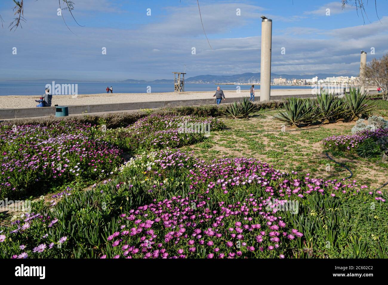 El arenal playa de palma mallorca -Fotos und -Bildmaterial in hoher ...