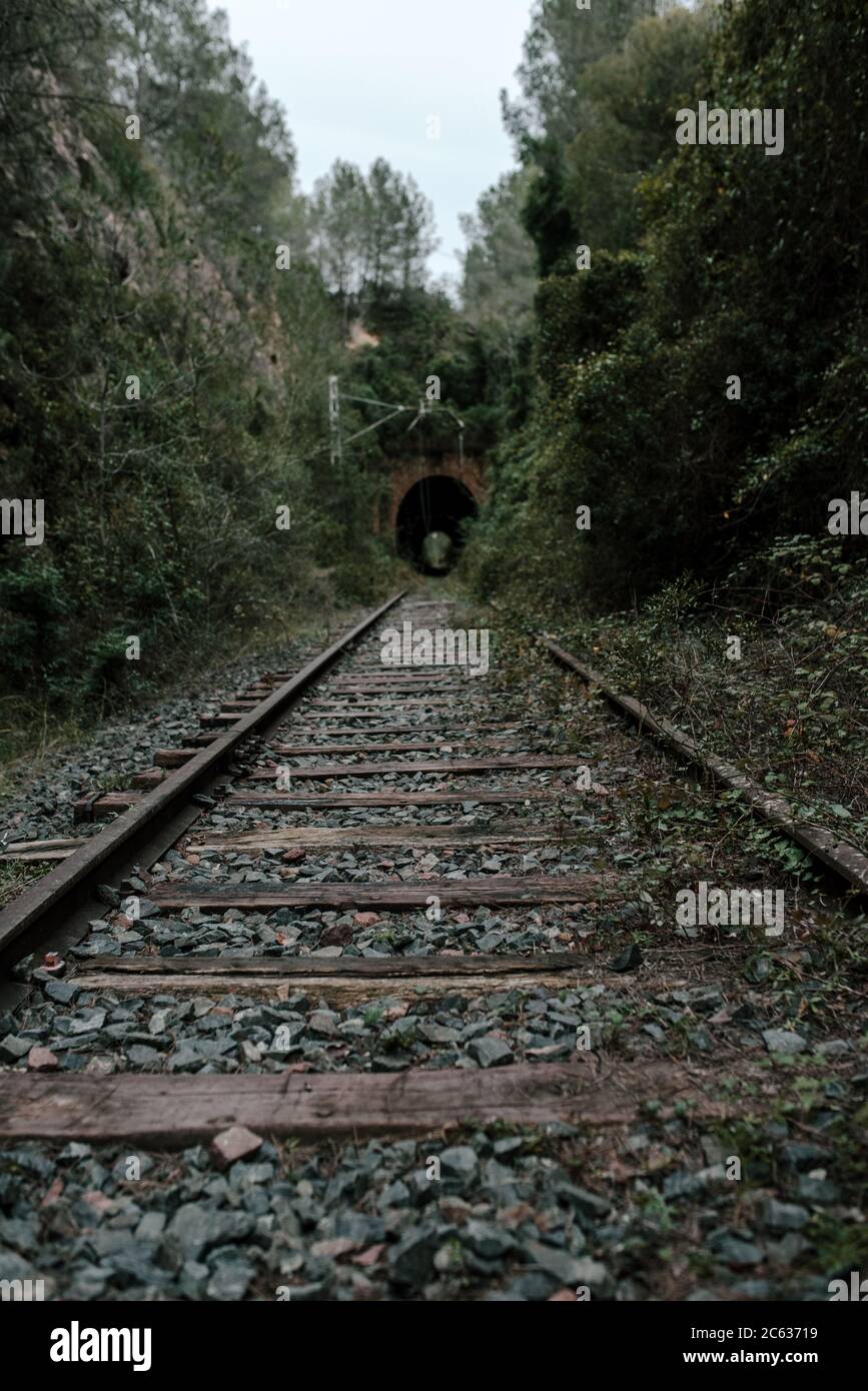 Gleise auf der Schiene. Gleis mit Schienen für Zug im Wald mit grüner ...