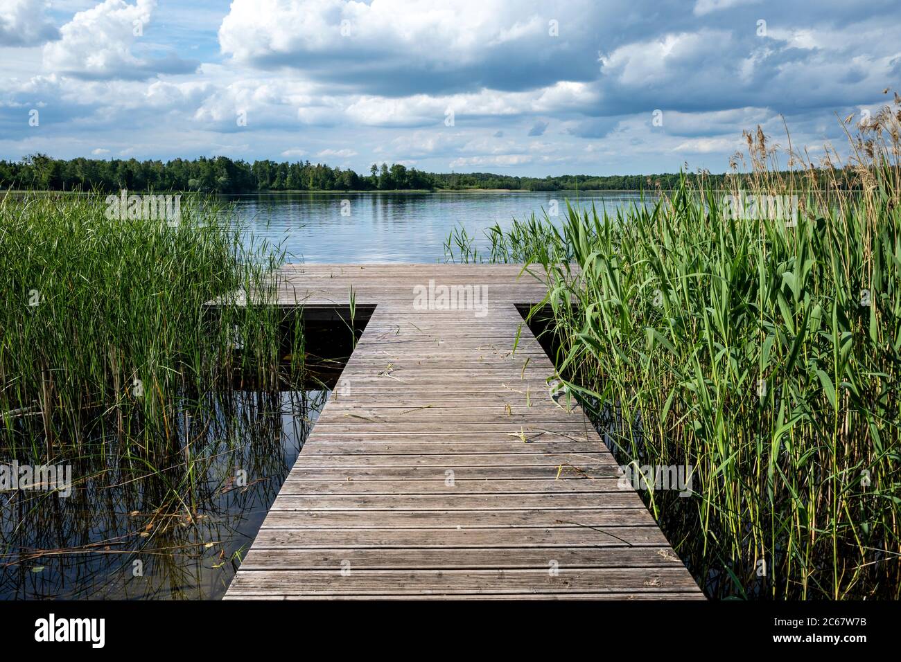 Steg an einem See in der Mecklenburgischen Seenplatte, Deutschland ...