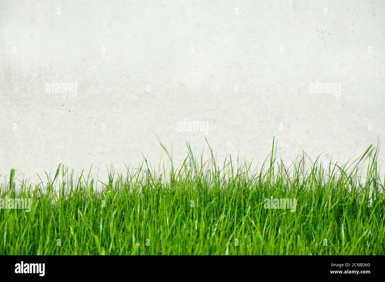 Beton mit gras -Fotos und -Bildmaterial in hoher Auflösung – Alamy