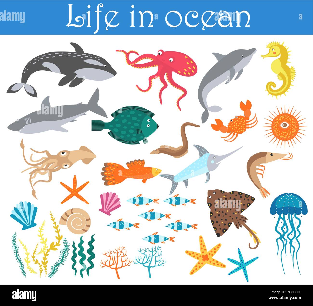 Cartoon sea animals -Fotos und -Bildmaterial in hoher Auflösung – Alamy