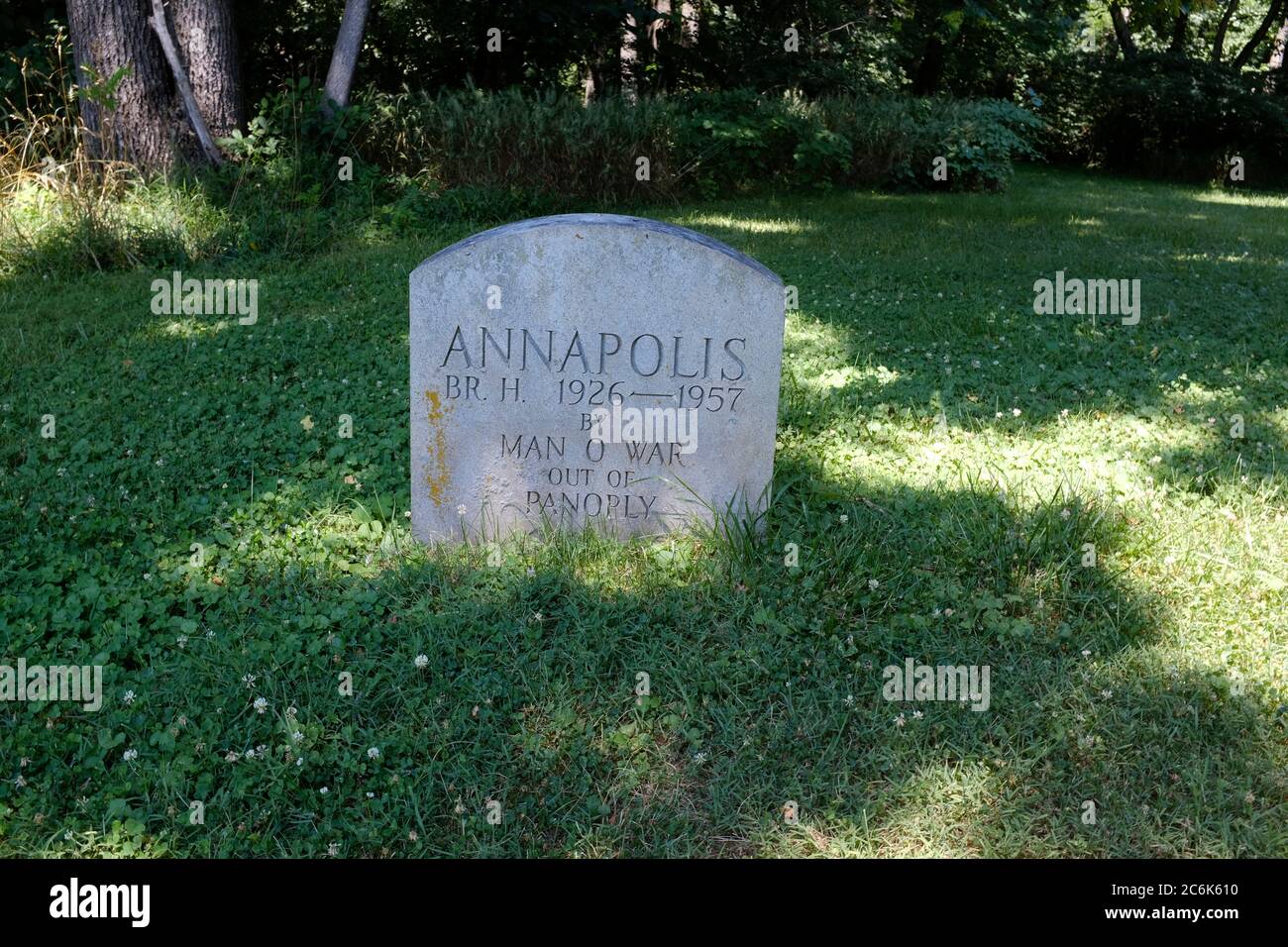 Marion dupont scott -Fotos und -Bildmaterial in hoher Auflösung – Alamy