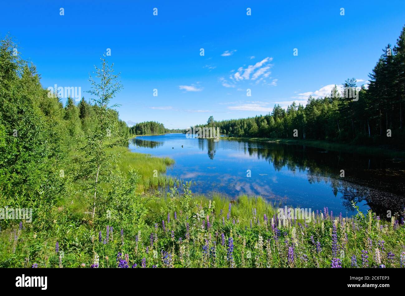 Wunderschöne Landschaften mit ruhigen Seen und Wäldern in Dalarna ...