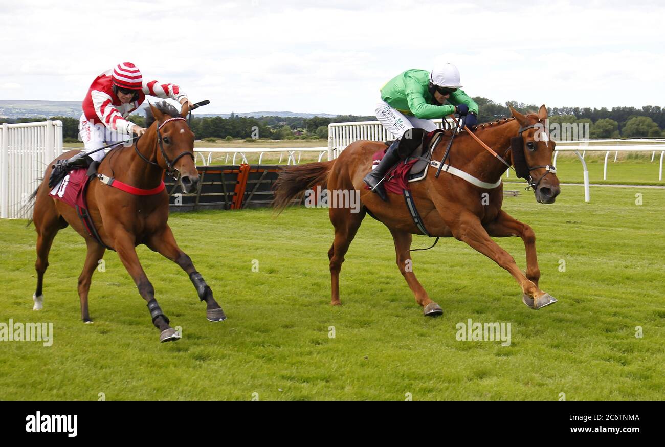 Tim dee -Fotos und -Bildmaterial in hoher Auflösung – Alamy