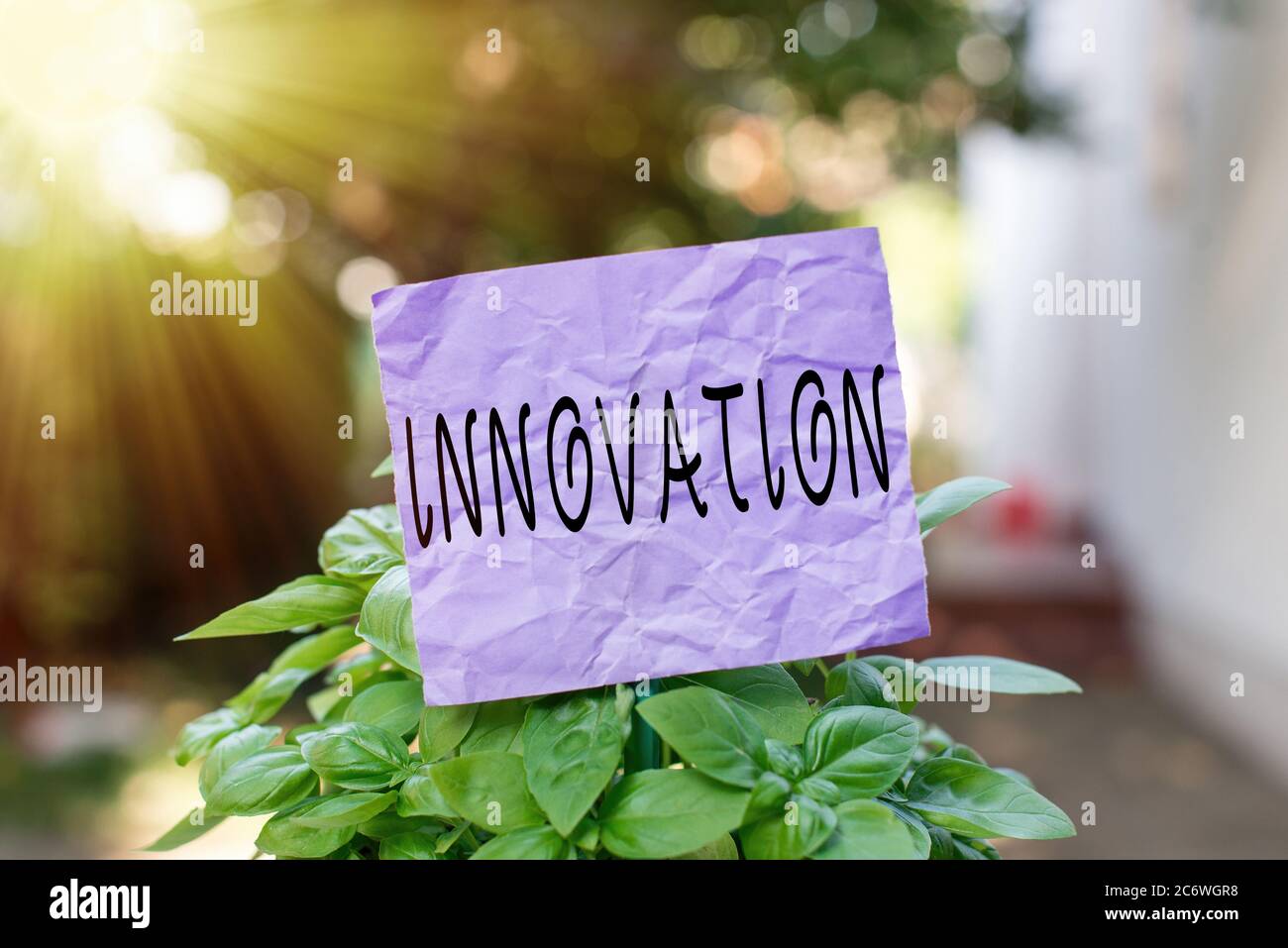 Textschild mit Innovation. Business Foto präsentiert neue Idee kreative ...