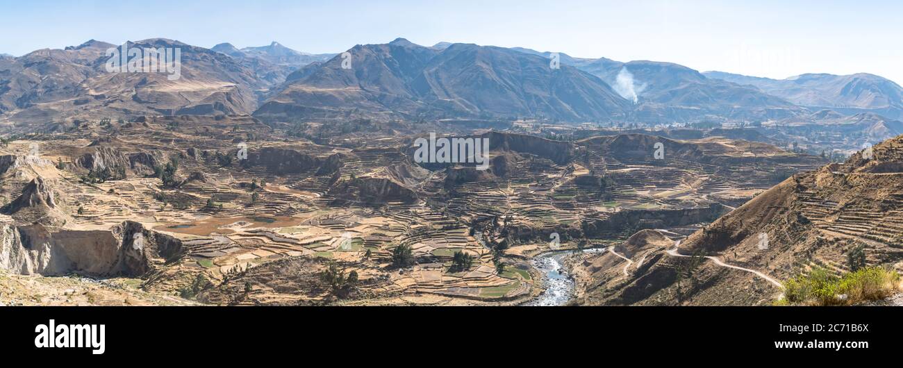 Colca Canyon, Peru, Südamerika. Die Inkas bauten Bauernterrassen mit ...