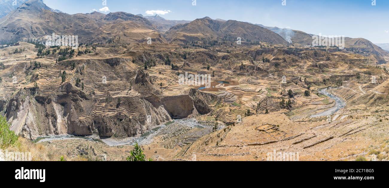 Colca Canyon, Peru, Südamerika. Die Inkas bauten Bauernterrassen mit ...