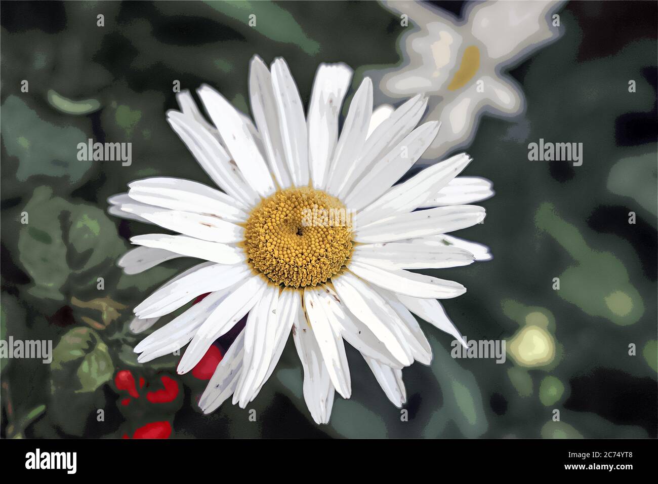 Fibonacci sequence numbers -Fotos und -Bildmaterial in hoher Auflösung ...