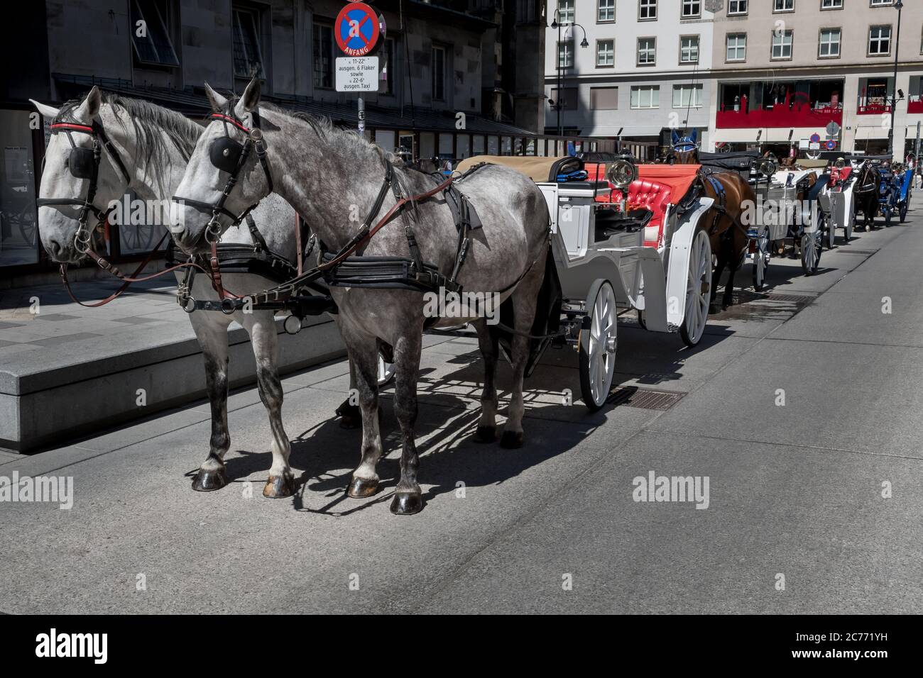 Fiaker wien sommer -Fotos und -Bildmaterial in hoher Auflösung – Alamy