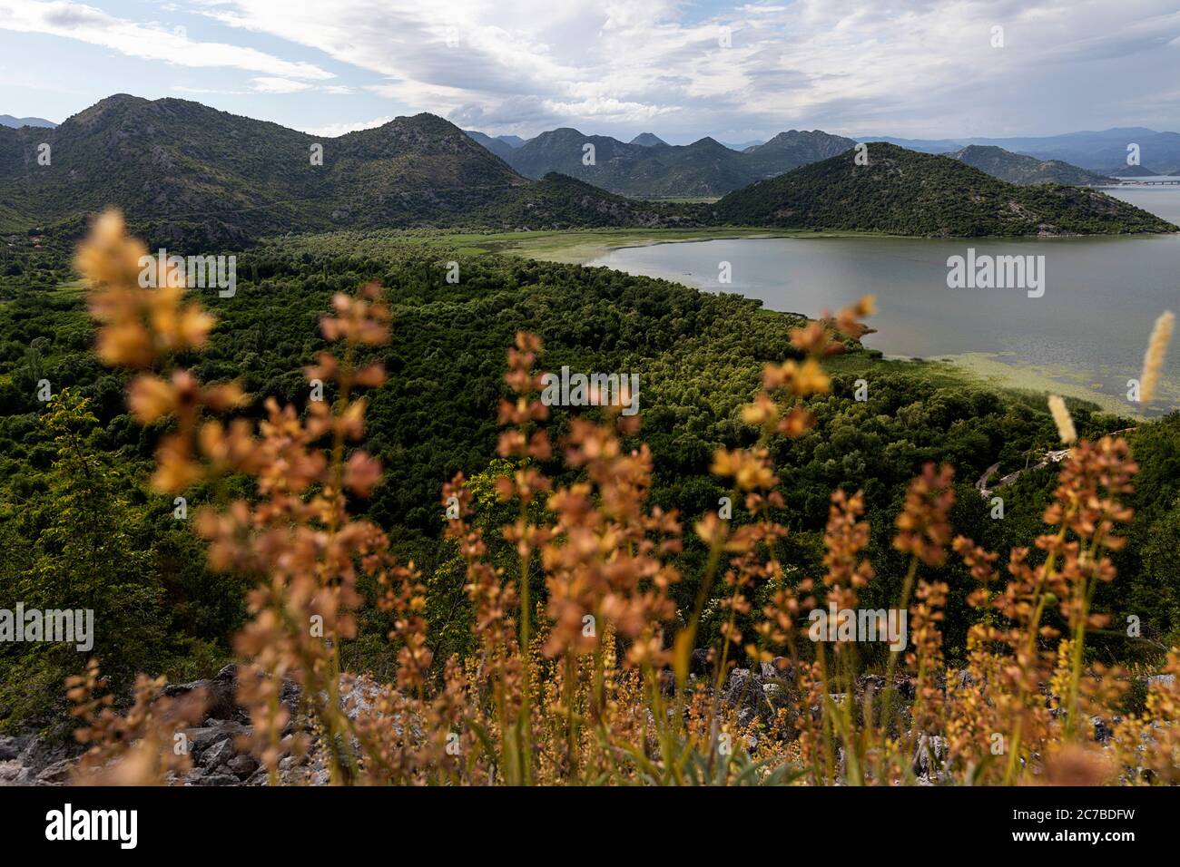 Skadarsko jezero -Fotos und -Bildmaterial in hoher Auflösung – Alamy
