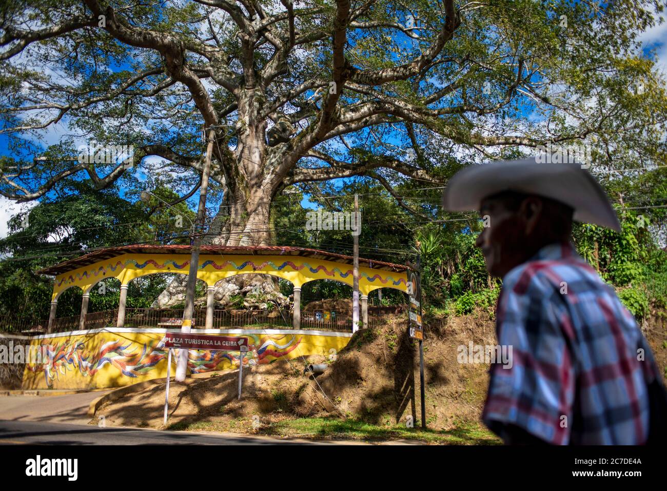 Plaza turistica La Ceiba in Salcoatitan Sonsonate El Salvador ...