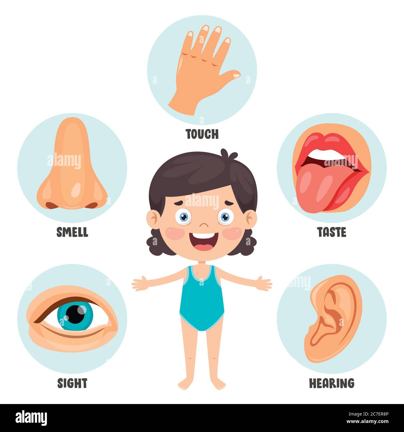 Die Fünf Sinne Ausgeschnittene Stockfotos und -bilder - Alamy