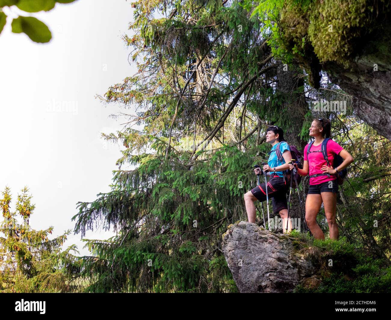 Wandern auf dem zweiten Talweg, schmaler Weg auf dem Kandel ...