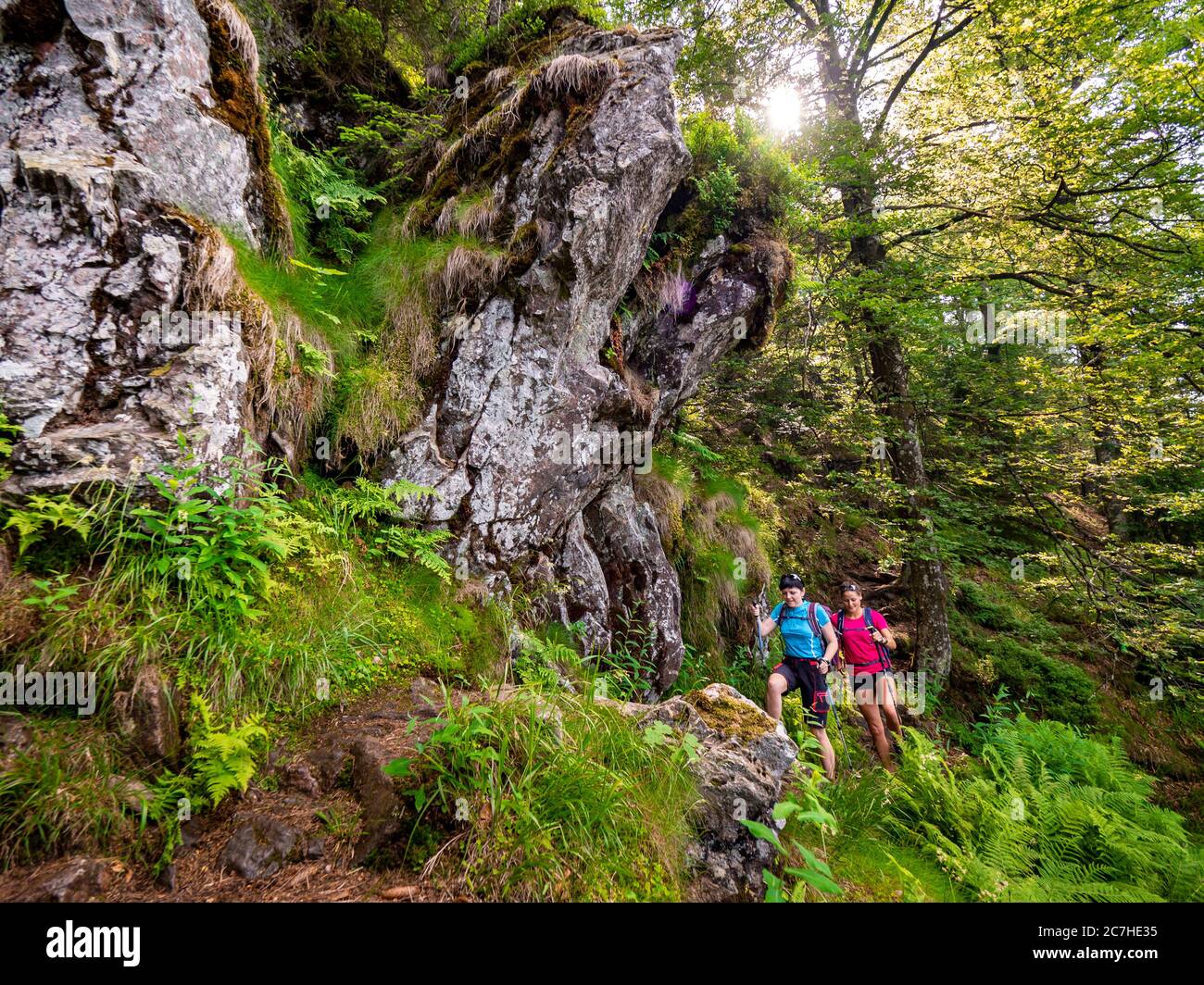 Wandern auf dem zweiten Talweg, schmaler Weg auf dem Kandel ...