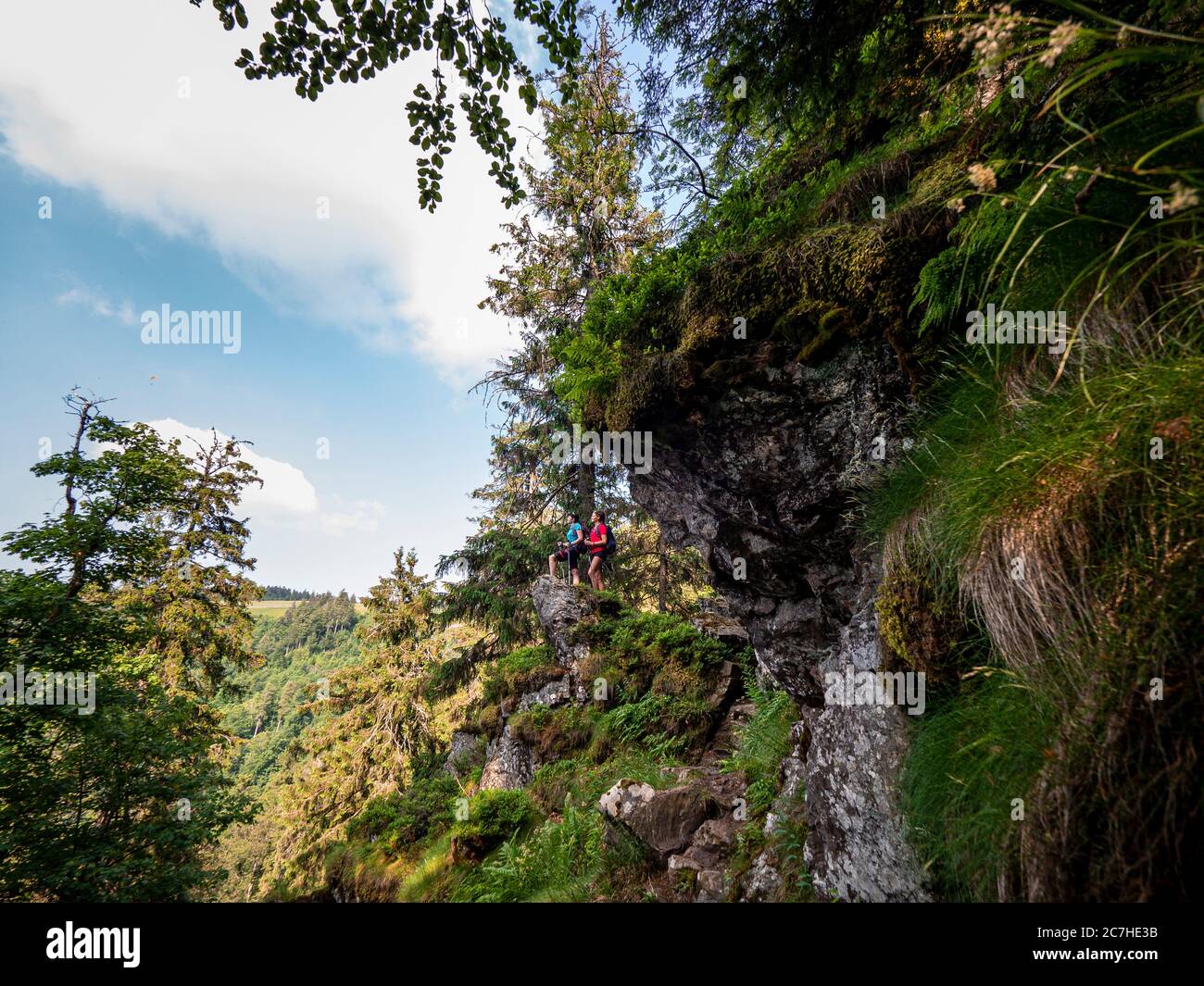 Wandern auf dem zweiten Talweg, schmaler Weg auf dem Kandel ...