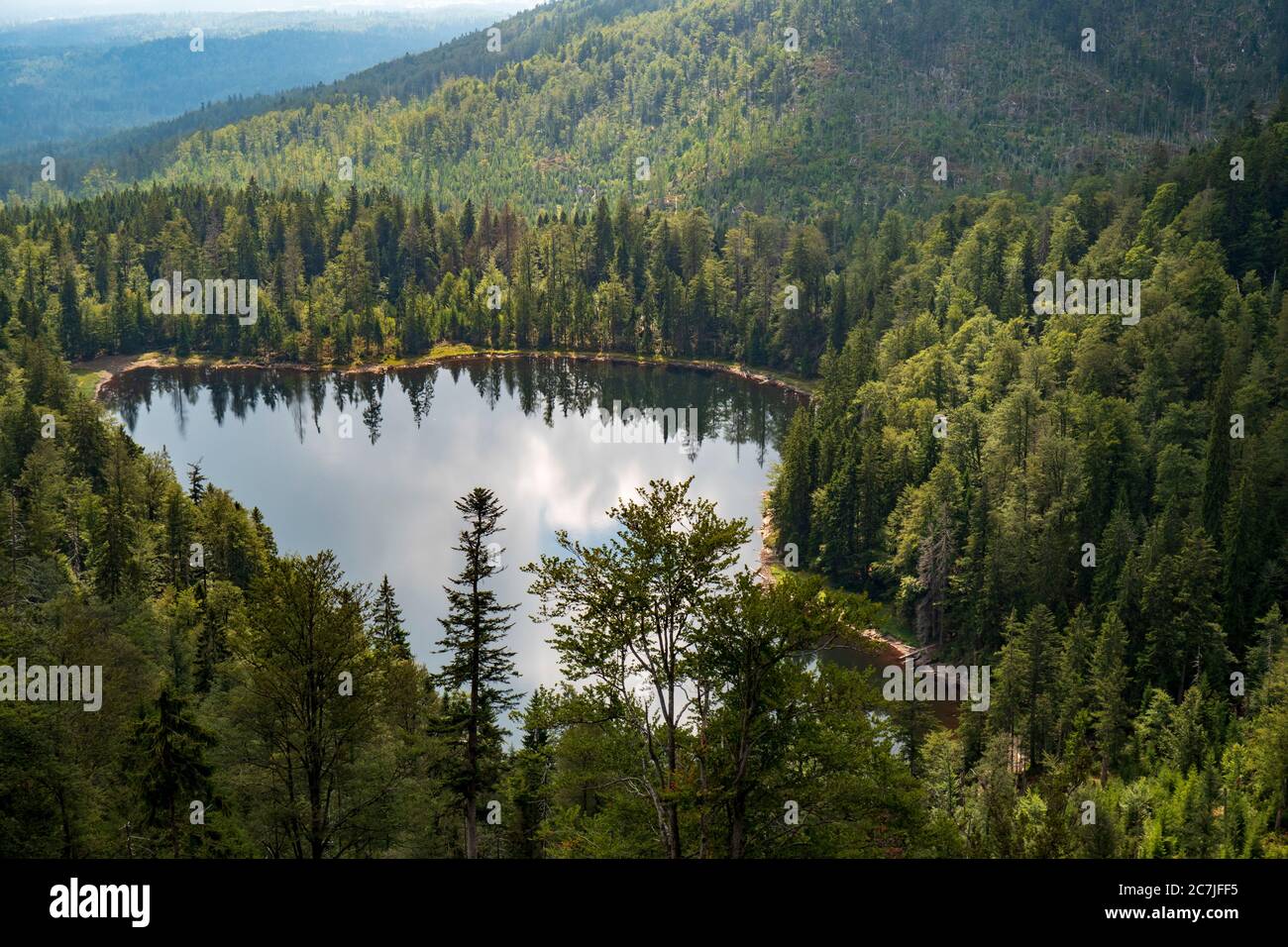 Rachel long -Fotos und -Bildmaterial in hoher Auflösung – Alamy