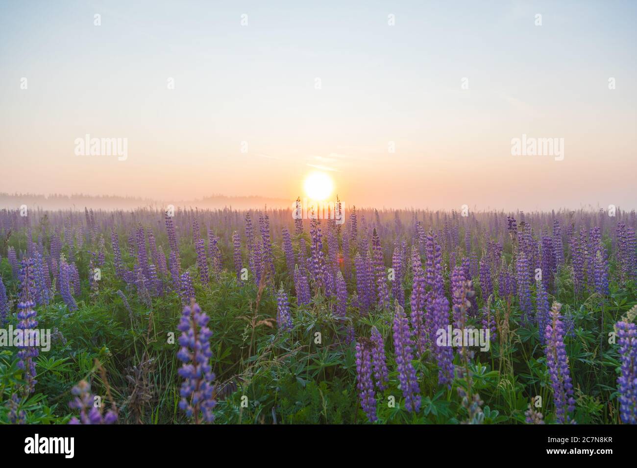 Ackerbau ackerbau anbauen anbauen anbau anbauen anbauen anbauen anbauen anbauen anbauen anbauen ...