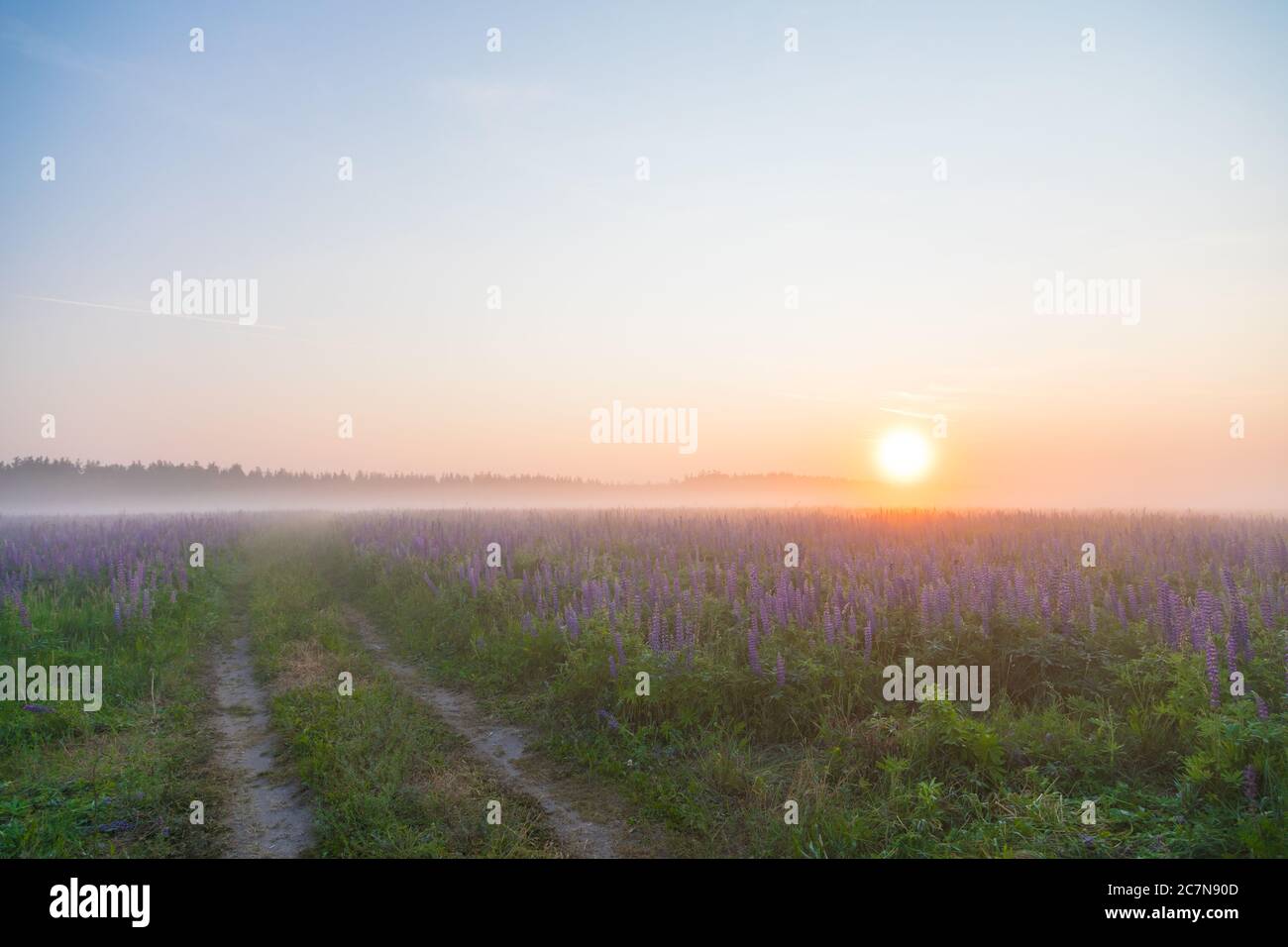 Ackerbau ackerbau anbauen anbauen anbau anbauen anbauen anbauen anbauen anbauen anbauen anbauen ...