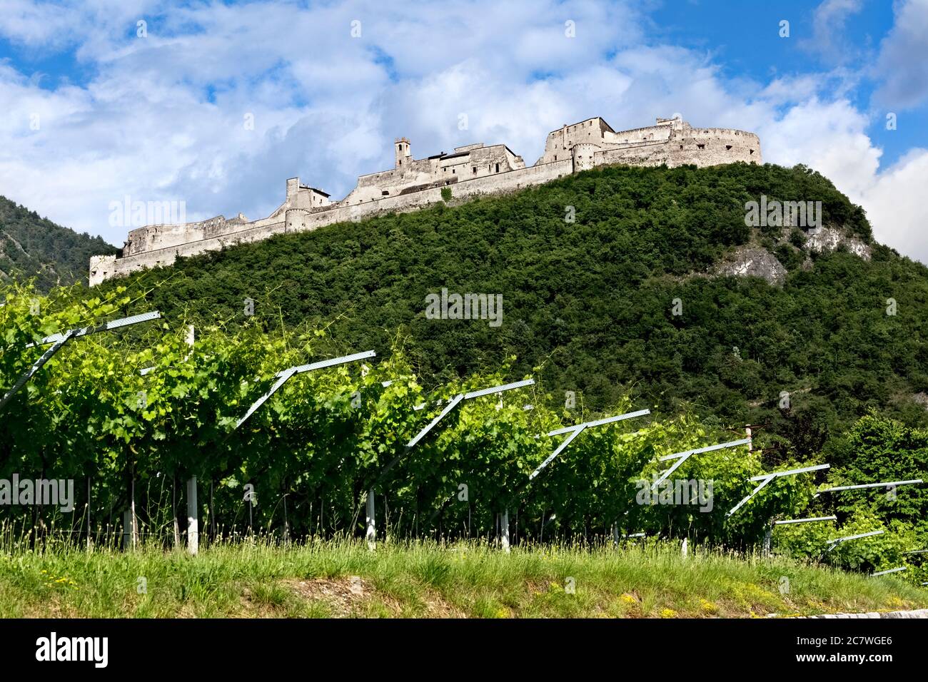 Die Weinberge von Vallagarina und das Schloss Beseno. Die Burg ist die ...