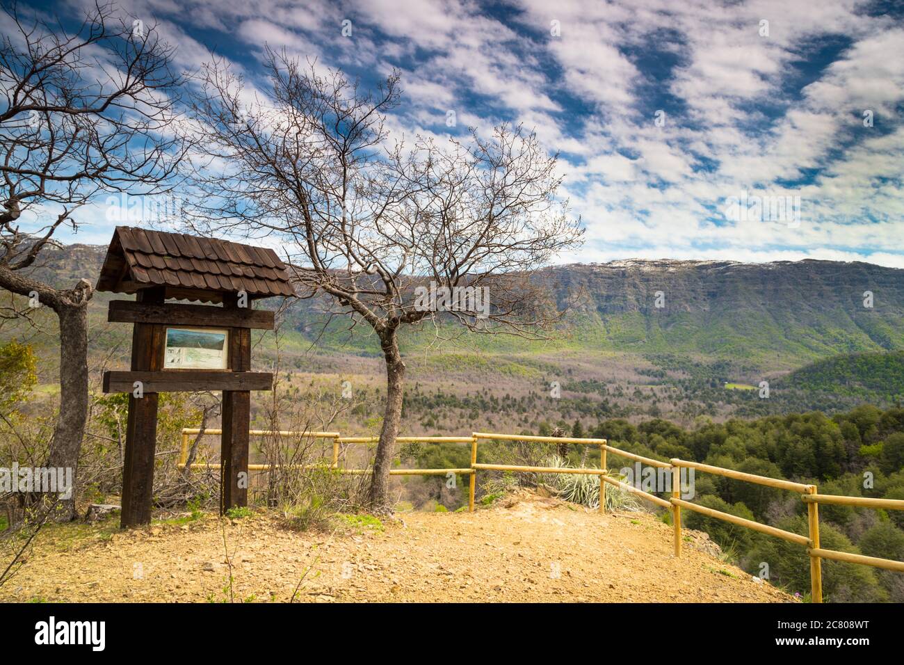 Bosque de las nubes -Fotos und -Bildmaterial in hoher Auflösung – Alamy