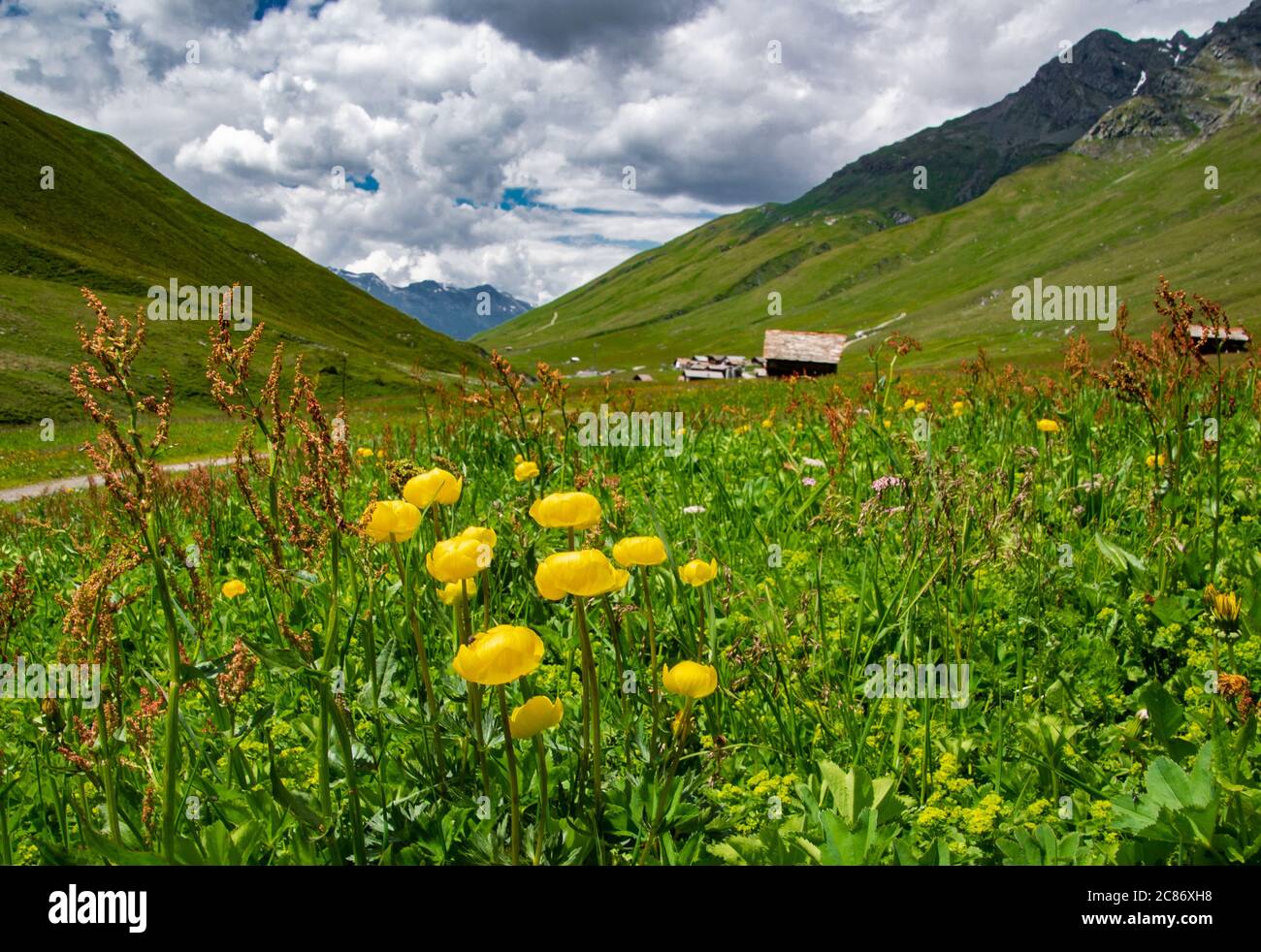 Juf schweiz -Fotos und -Bildmaterial in hoher Auflösung – Alamy
