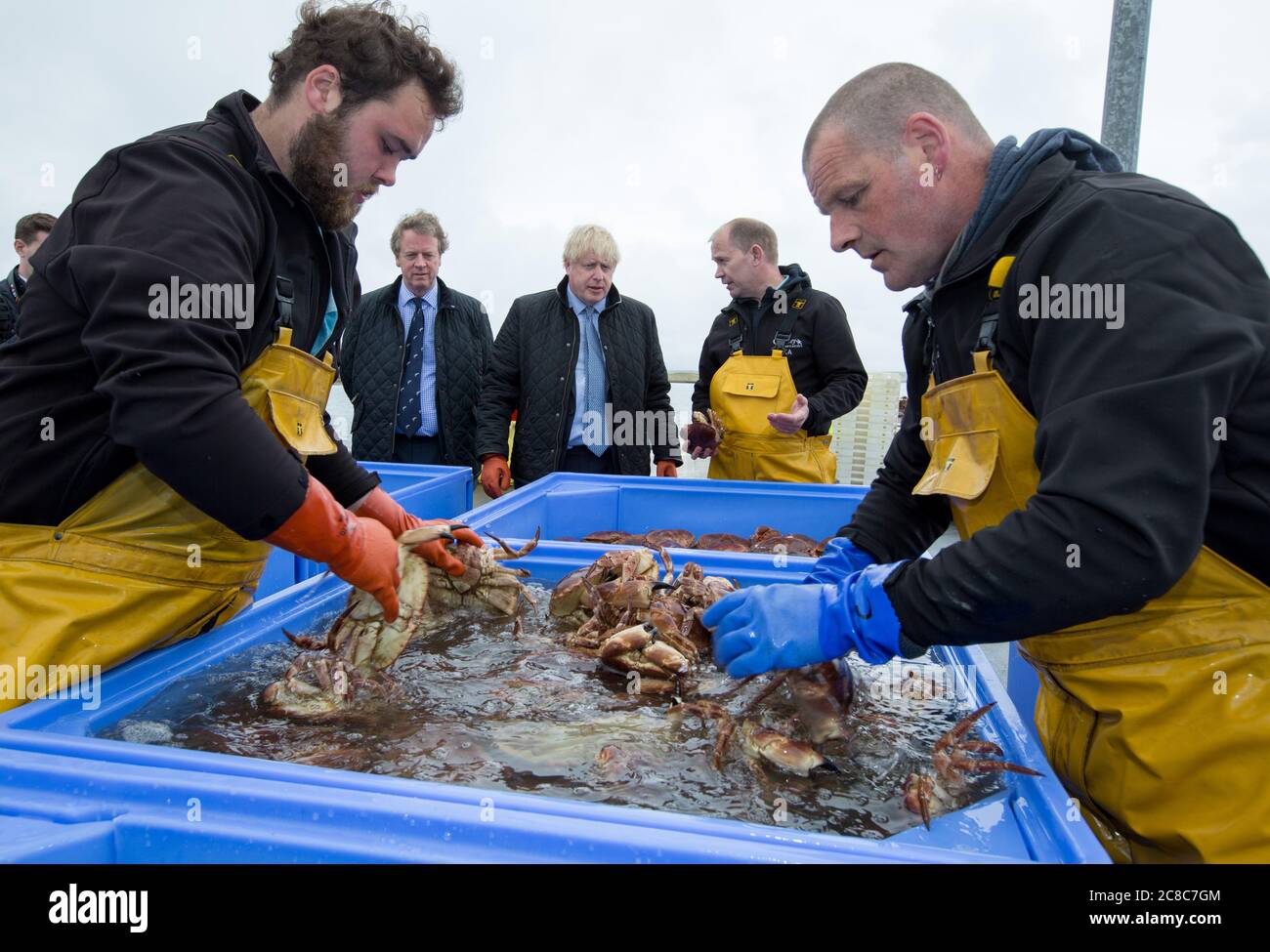Sie sehen aus wie krabben, die im hafen von carvela stromness gefangen ...