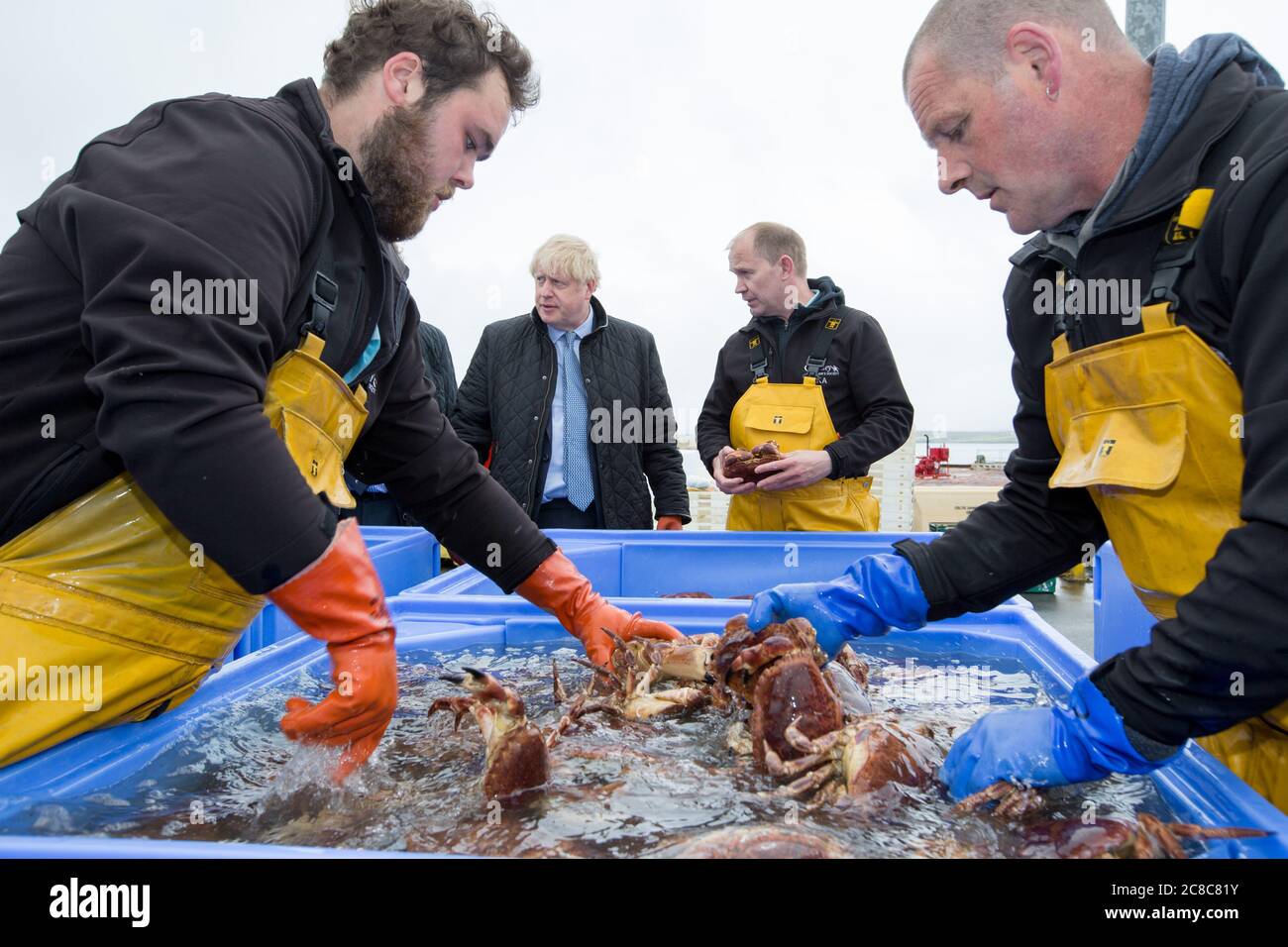 Sie sehen aus wie krabben, die im hafen von carvela stromness gefangen ...