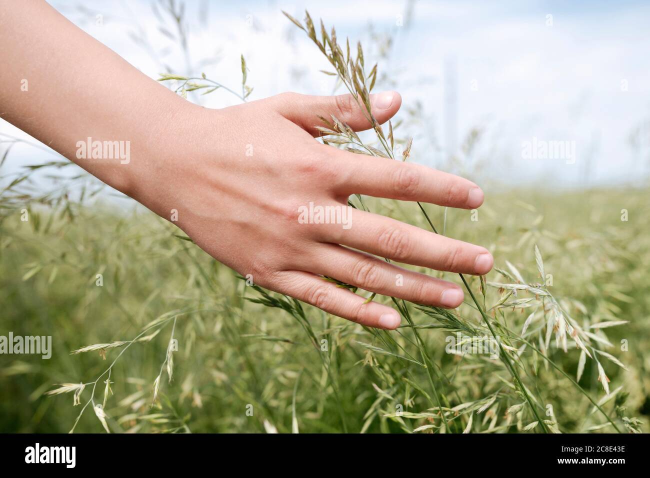 Wiese hohes gras hand -Fotos und -Bildmaterial in hoher Auflösung – Alamy